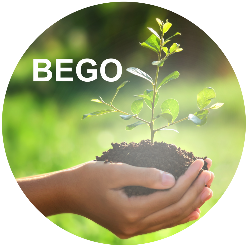 Home - BEGO-BürgerEnergie im Kreis Calw eG